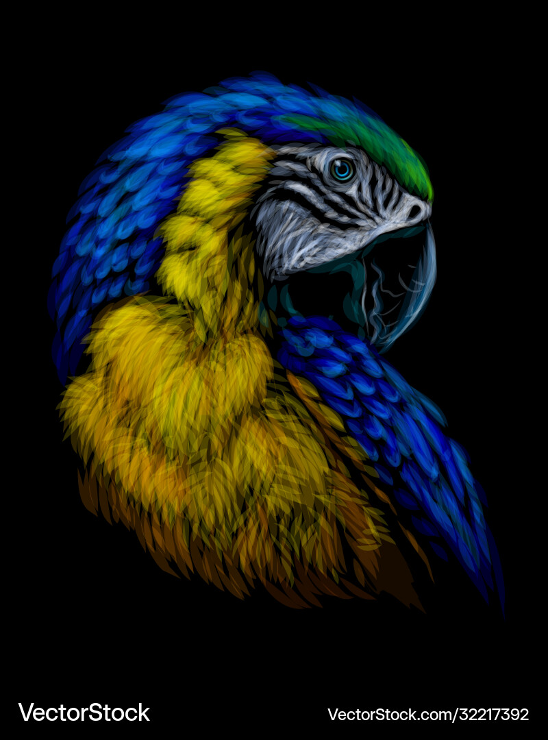 Macaw parrot hand-drawn artistic portrait Vector Image