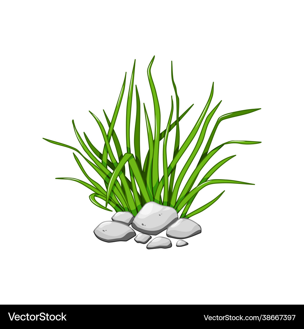 Green grass in rocks cartoon Royalty Free Vector Image