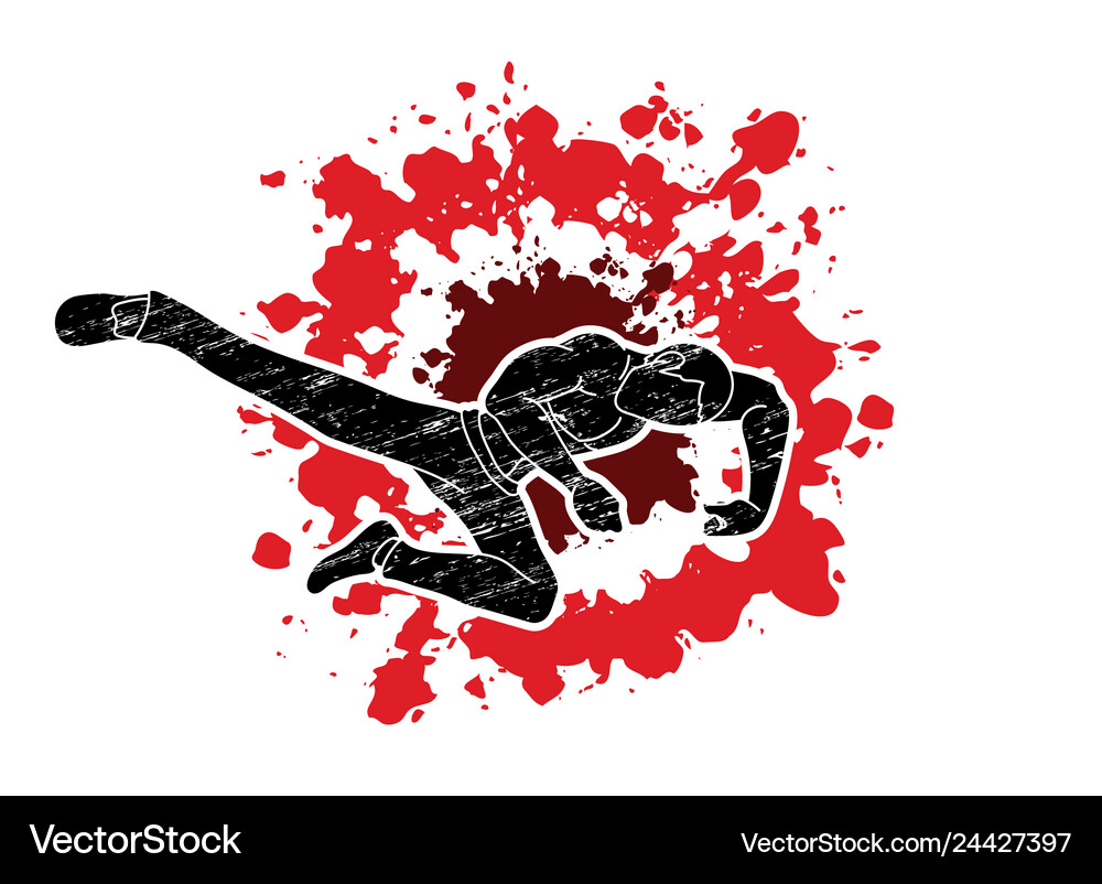 Kung fu action jump kick graphic Royalty Free Vector Image