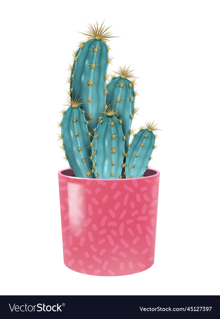 Wing cactus pot composition Royalty Free Vector Image