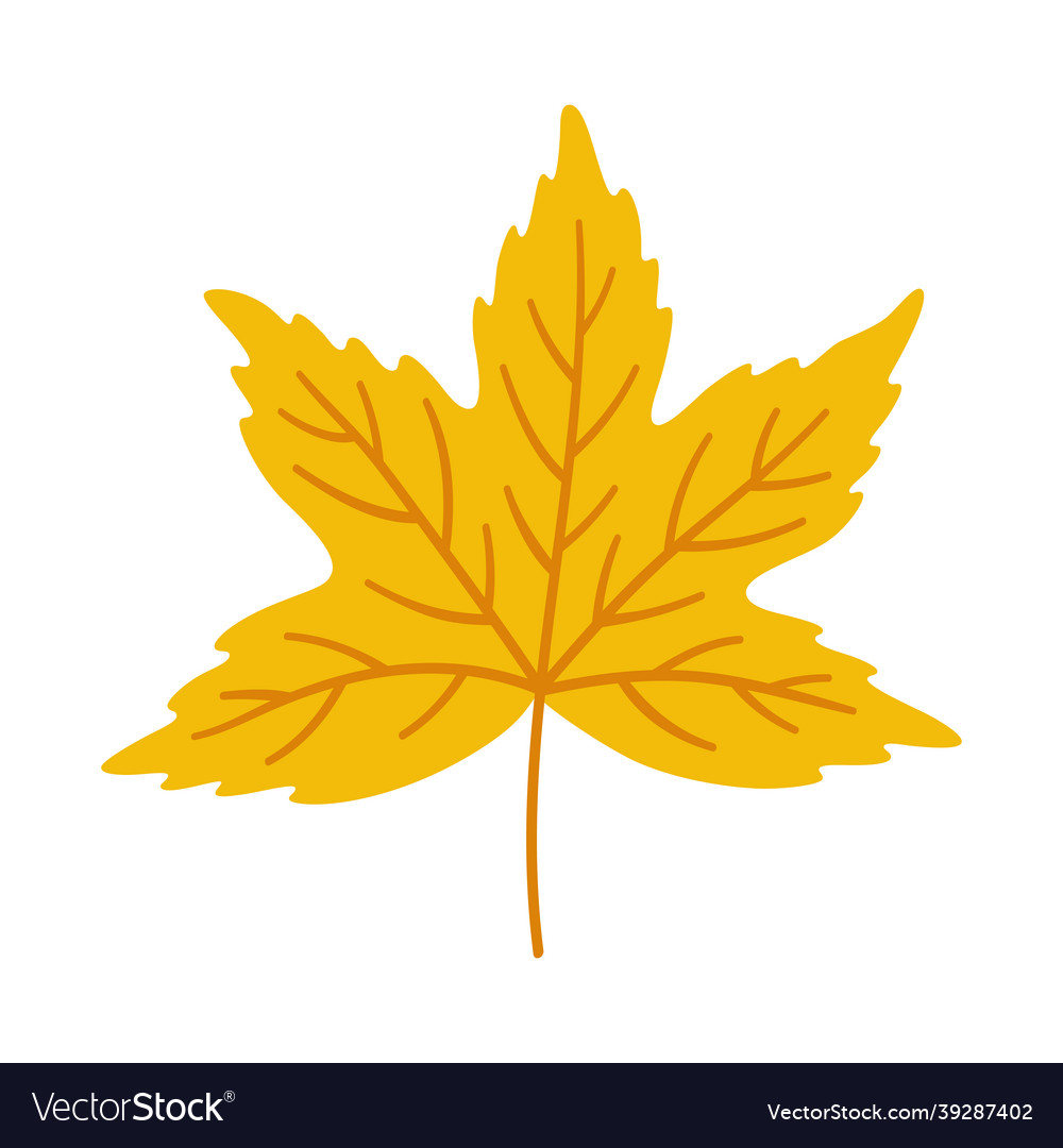Maple autumn leaf on white background Royalty Free Vector