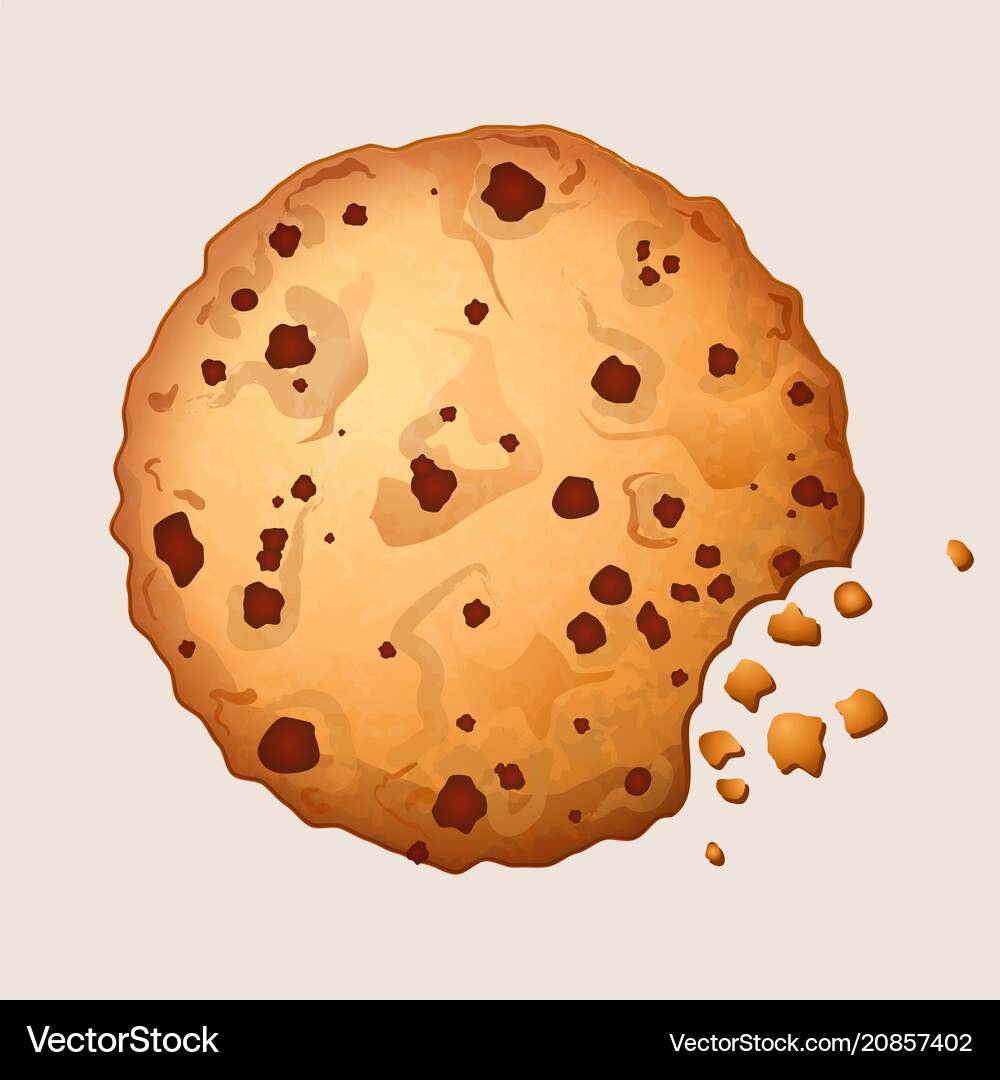 Sweet choco chip cookies with chocolate dots Vector Image