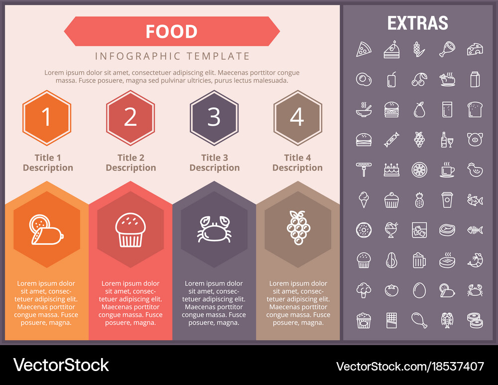 Food infographic template elements and icons Vector Image