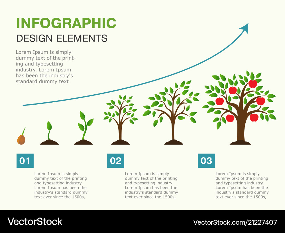 Infographic planting tree seeds sprout in Vector Image