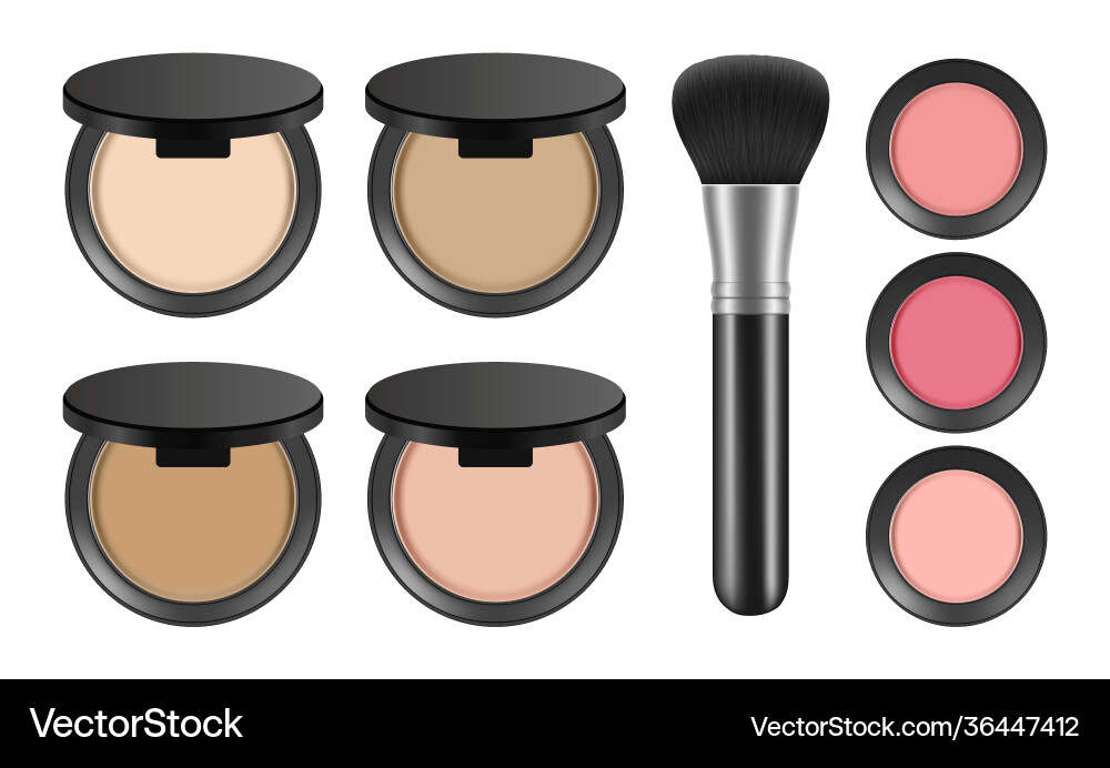 Makeup powder realistic blush and brush isolated Vector Image
