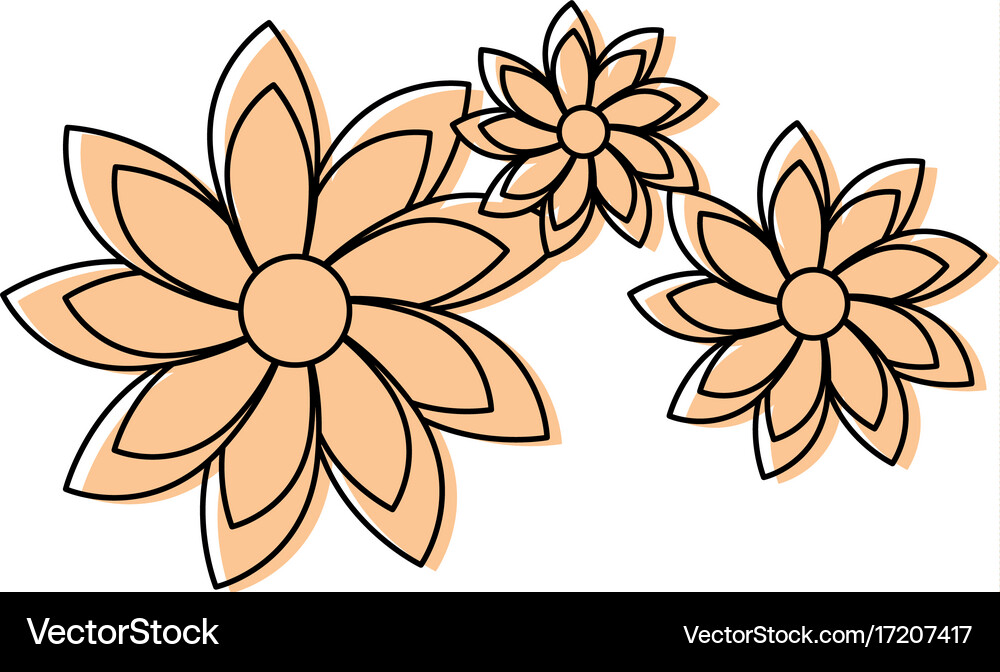 Beautiful flowers decorative icon Royalty Free Vector Image