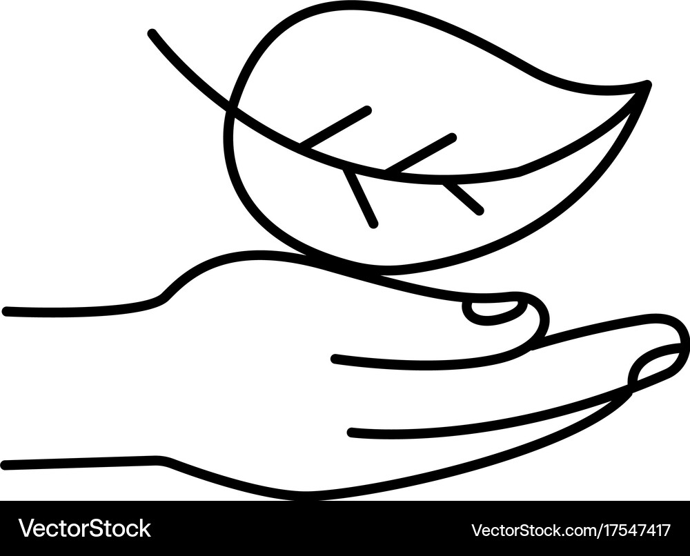 Modern thin line icon of leaf premium quality Vector Image