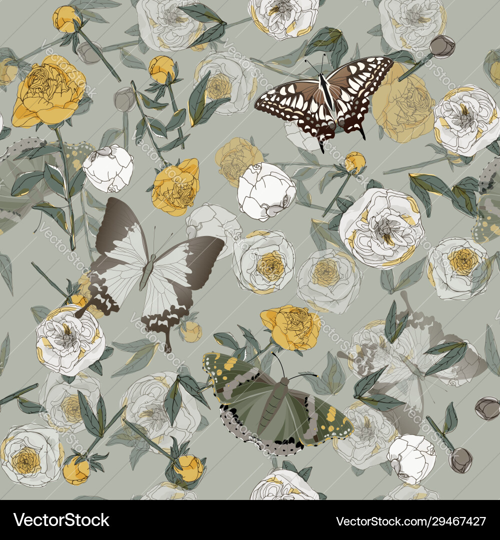 Butterfly and leaves stems inflorescences Vector Image