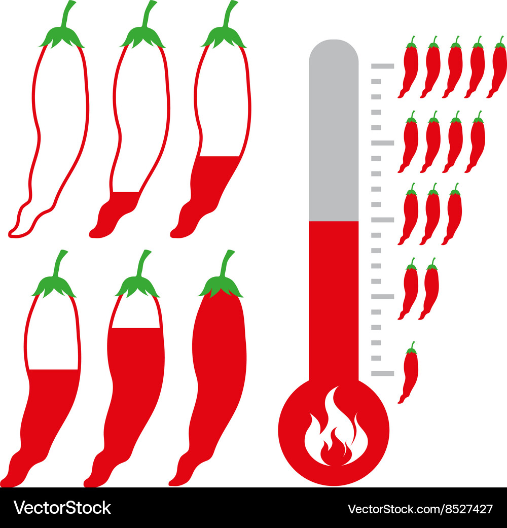 Level hot and spicy chili pepper Royalty Free Vector Image