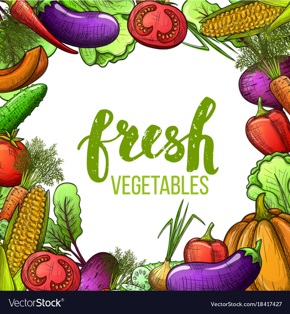 Set of vegetables Royalty Free Vector Image - VectorStock