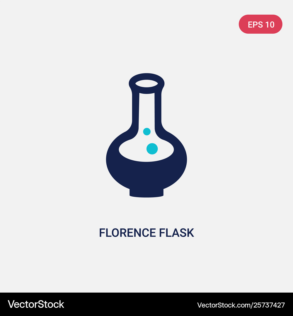 Two color florence flask icon from education Vector Image