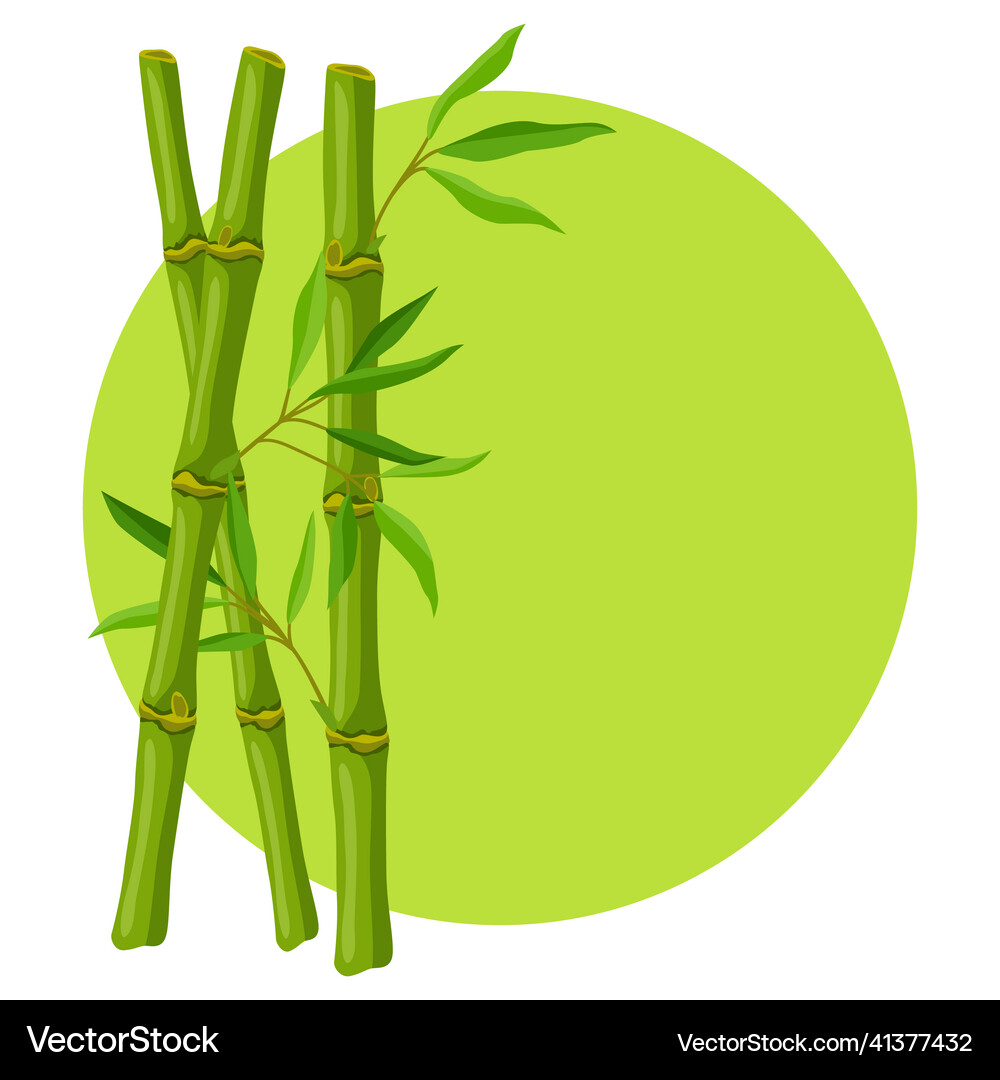 Background with green bamboo stems and leaves Vector Image