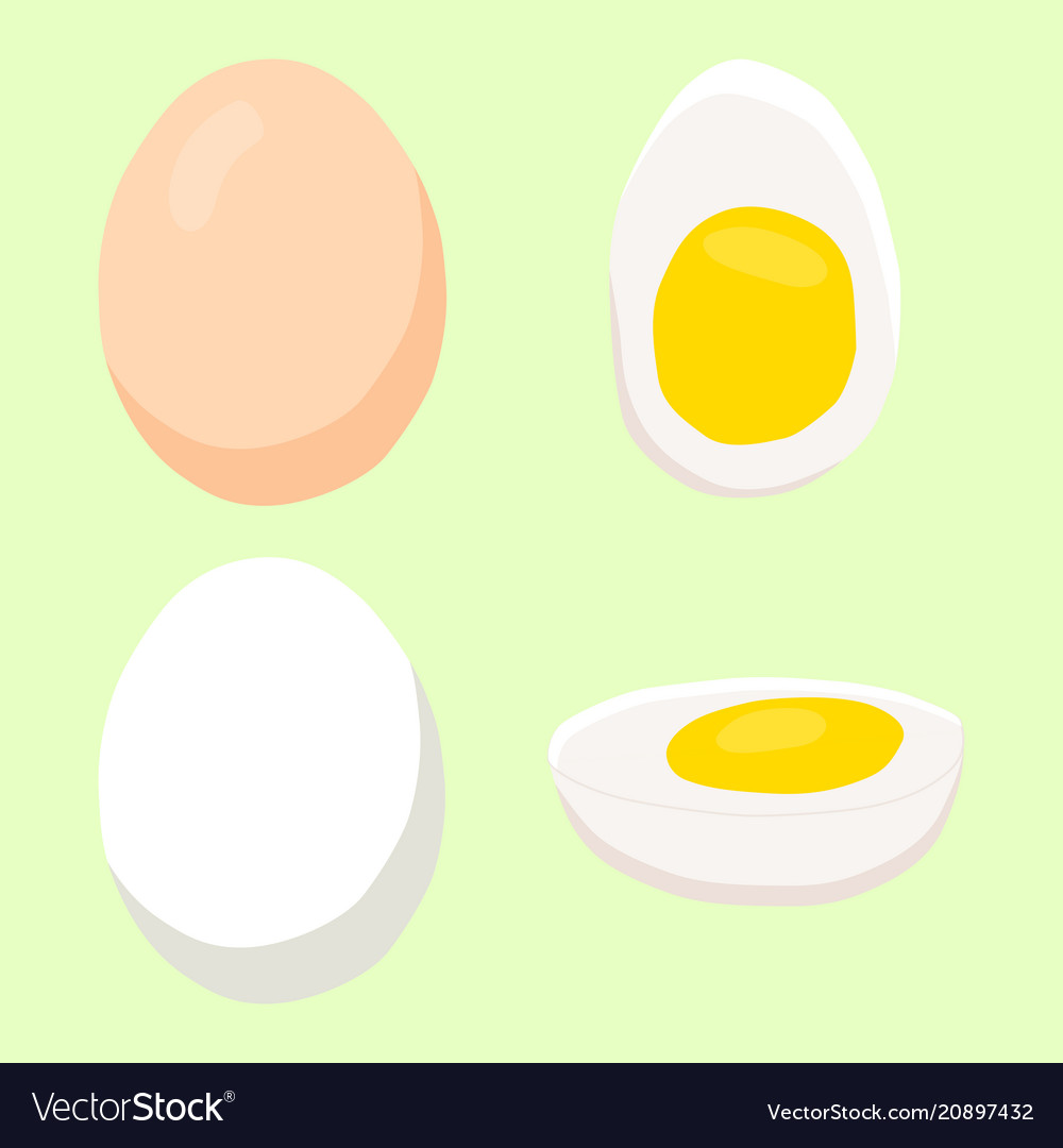 Egg Royalty Free Vector Image - VectorStock