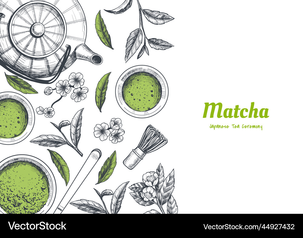 Frame with tea japanese tea ceremony matcha tea Vector Image