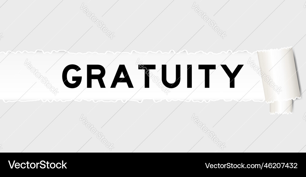 Ripped gray paper background that have word Vector Image