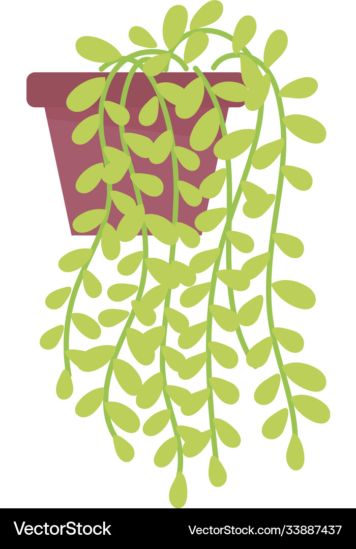Plant in pot decoration interior isolated design Vector Image