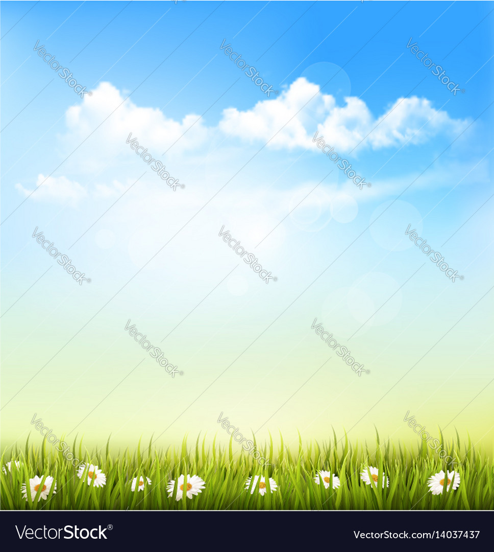 Spring nature background with a green grass and Vector Image