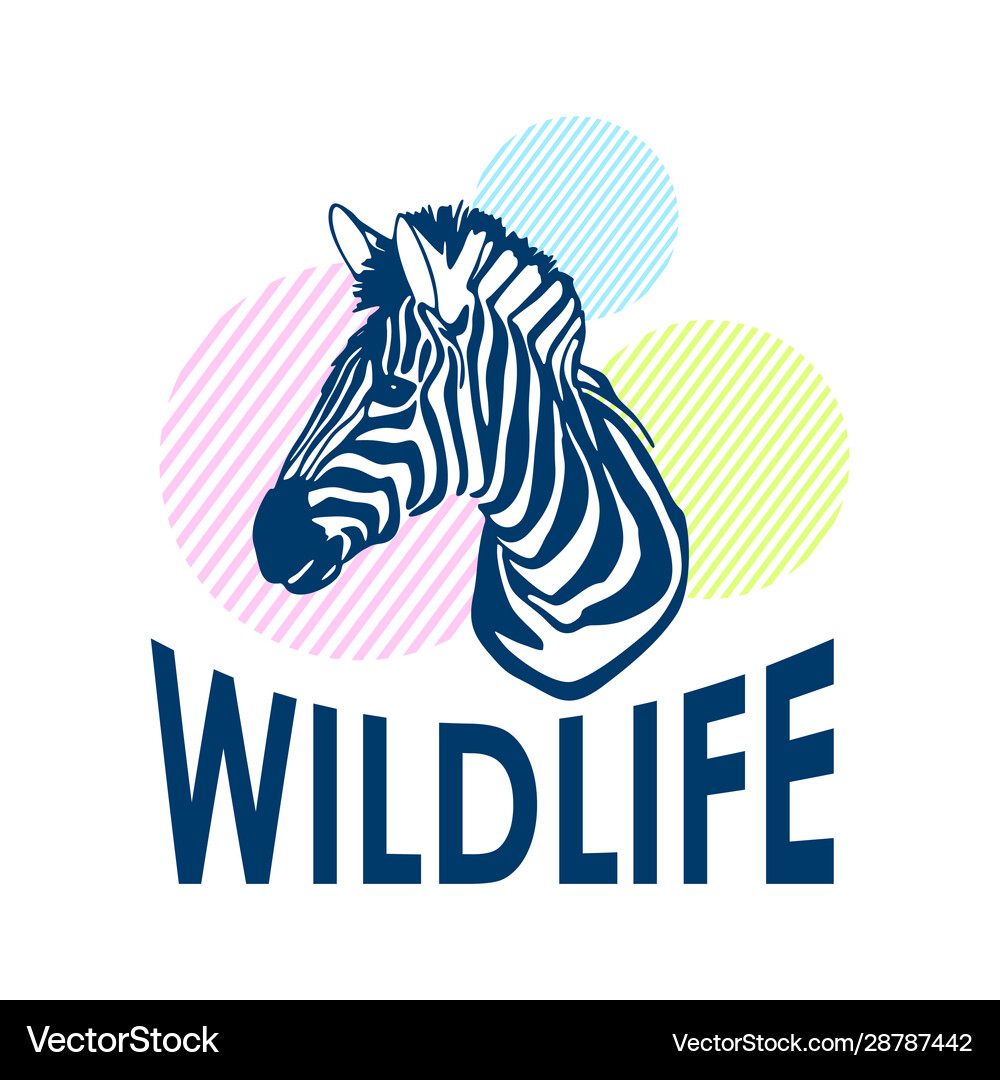 Hand drawn zebra with wildlife text isolated Vector Image