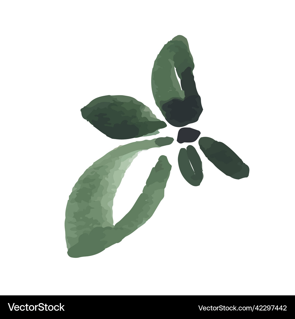 Leaf icons isolated on white background logo sign Vector Image