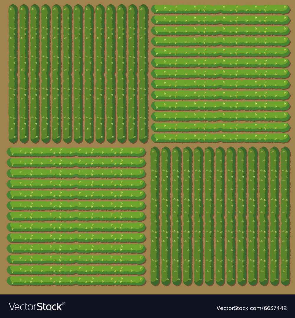 Simple pattern crop Royalty Free Vector Image - VectorStock