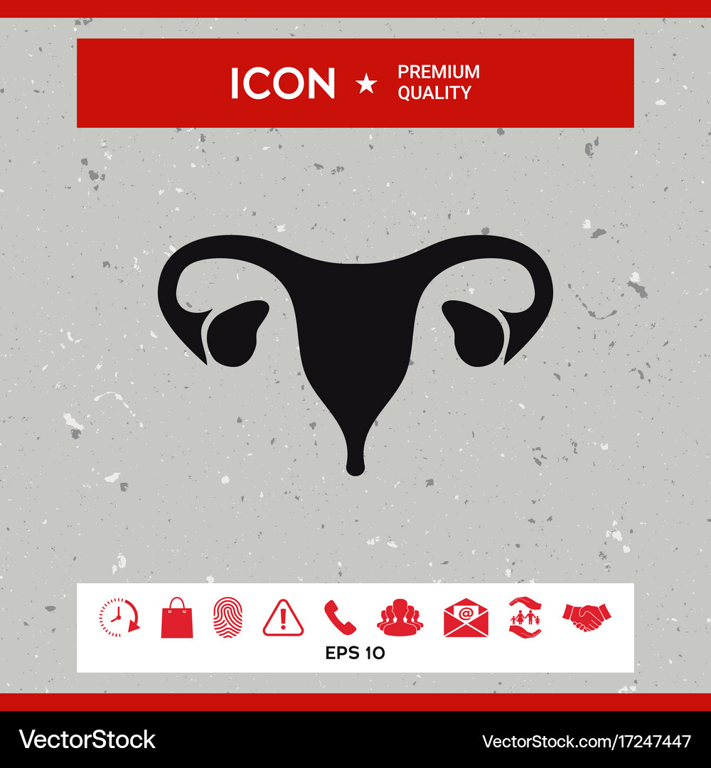 Human organs female uterus icon Royalty Free Vector Image