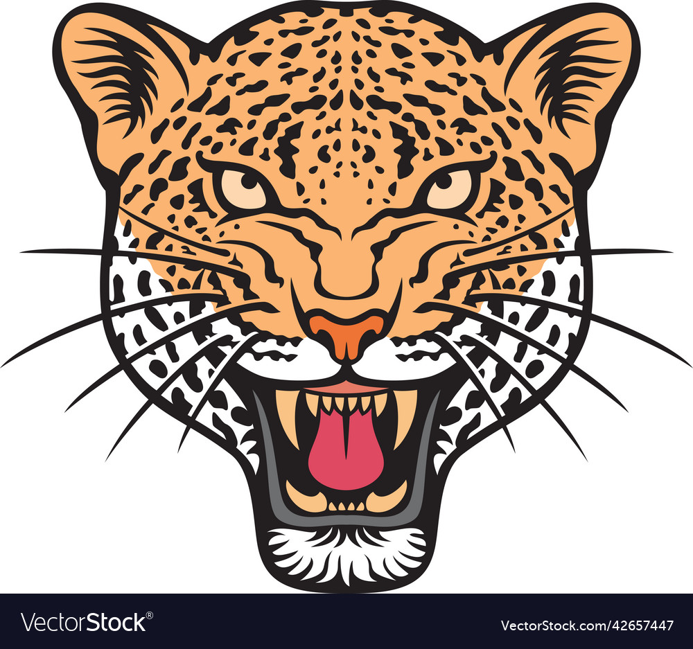 Leopard face color Royalty Free Vector Image - VectorStock