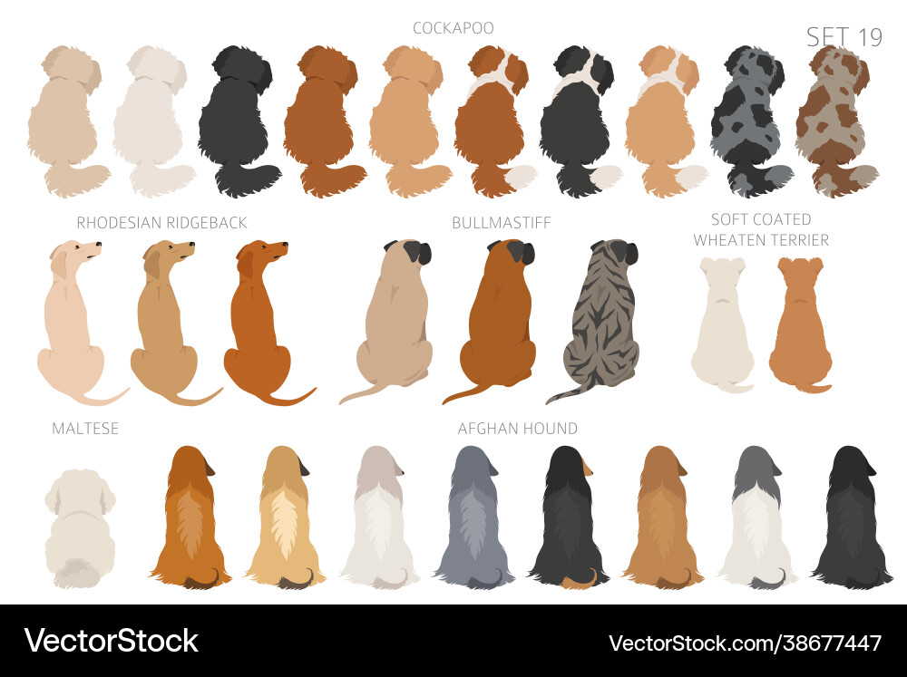 Sitting dogs backside clipart rear view Royalty Free Vector