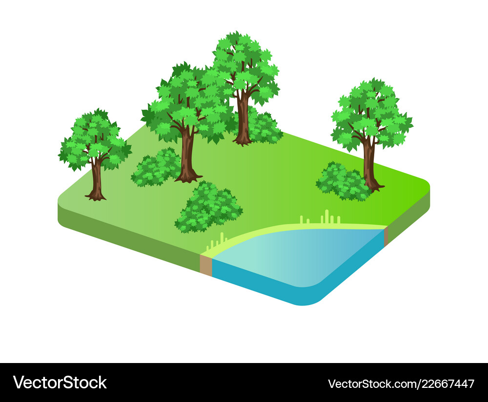 Trees and lake green field Royalty Free Vector Image