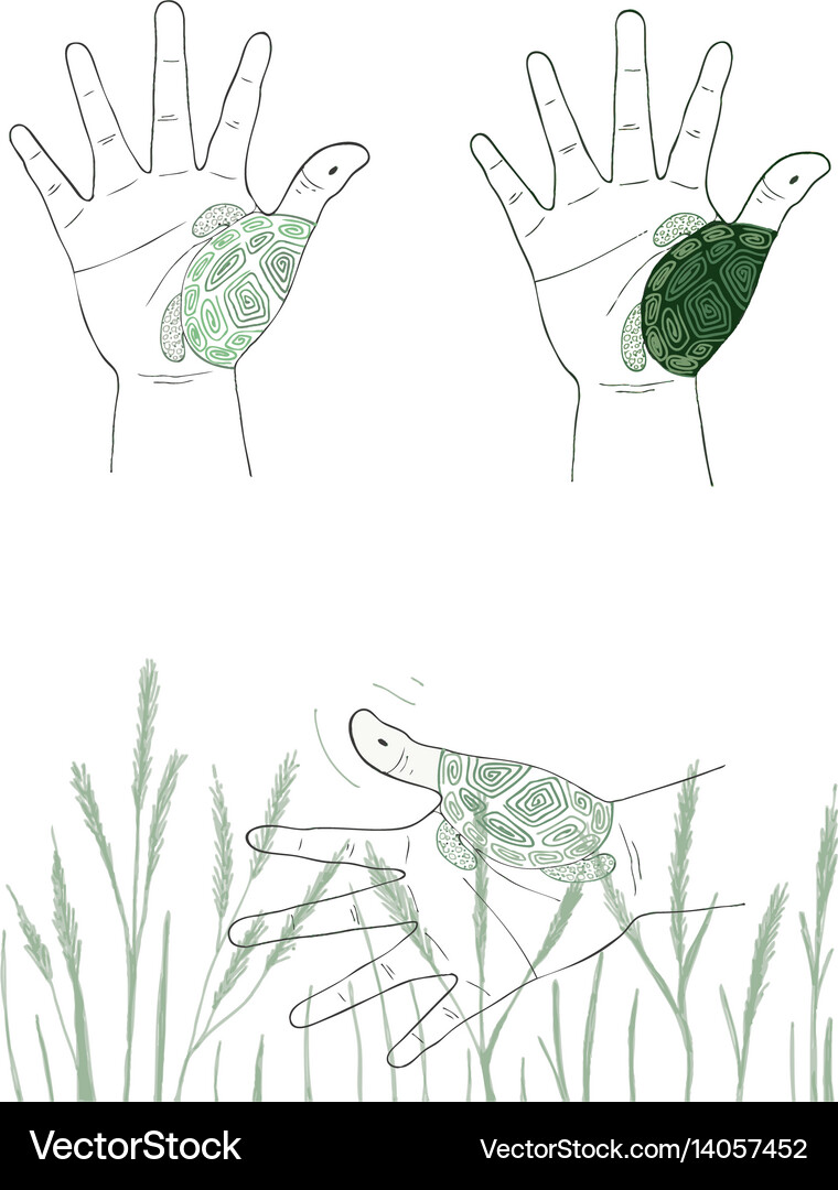 Hand gesture with turtle painting on white Vector Image