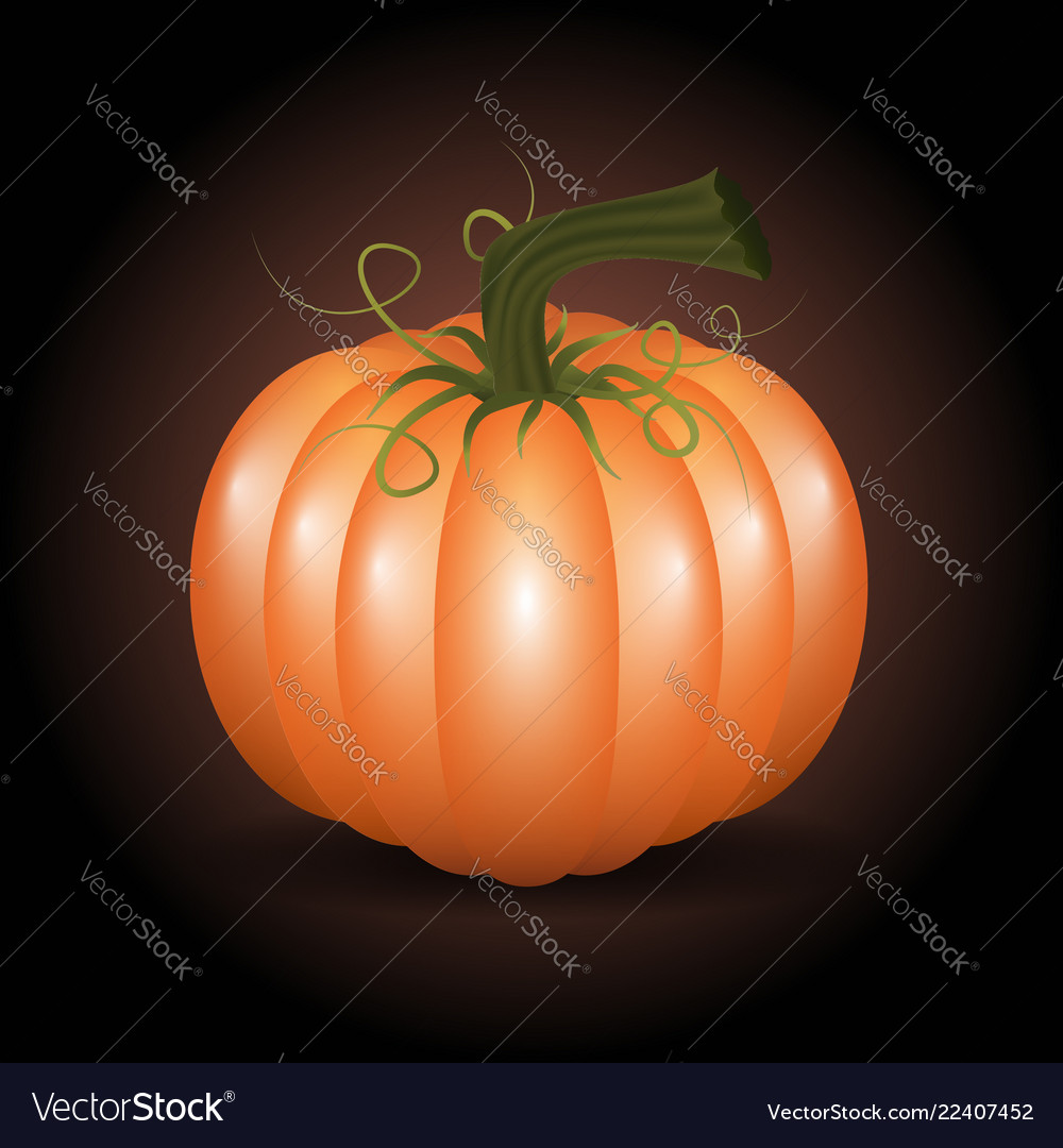 Pumpkin Royalty Free Vector Image - VectorStock