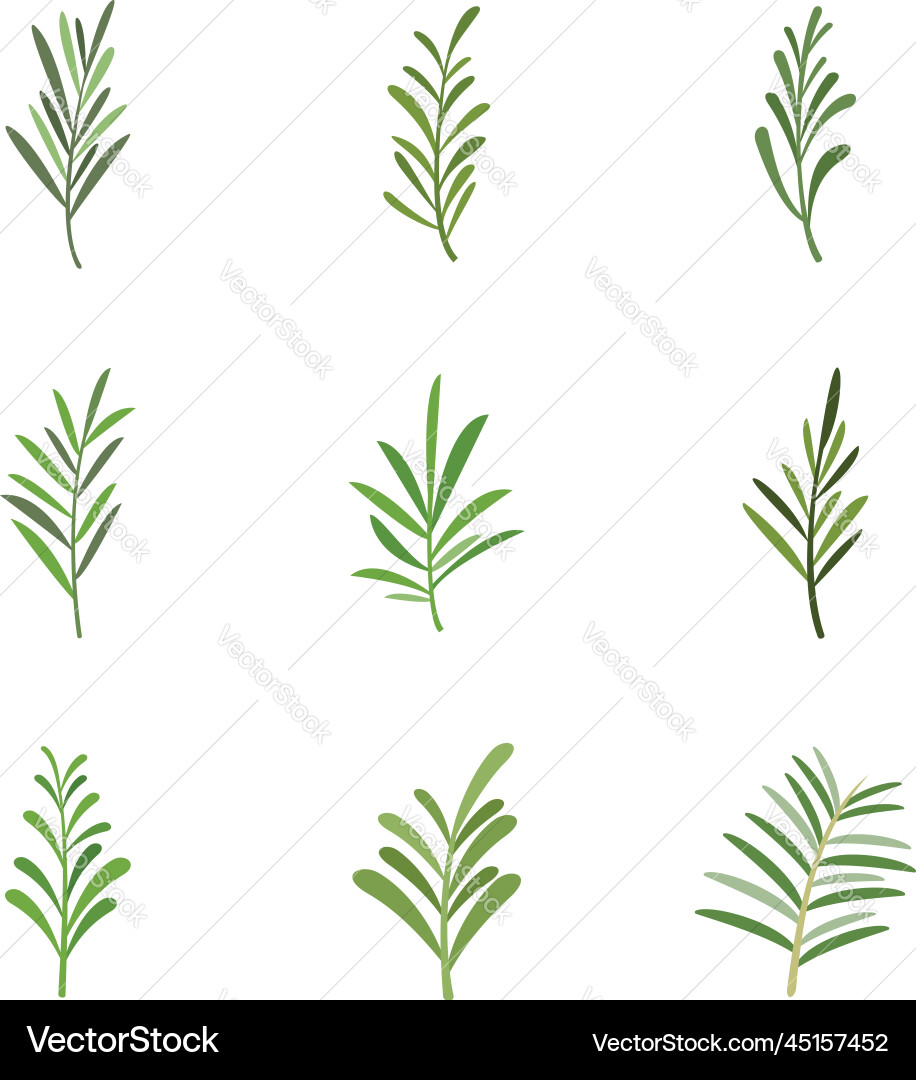 Rosemary icons set flat herb spices Royalty Free Vector