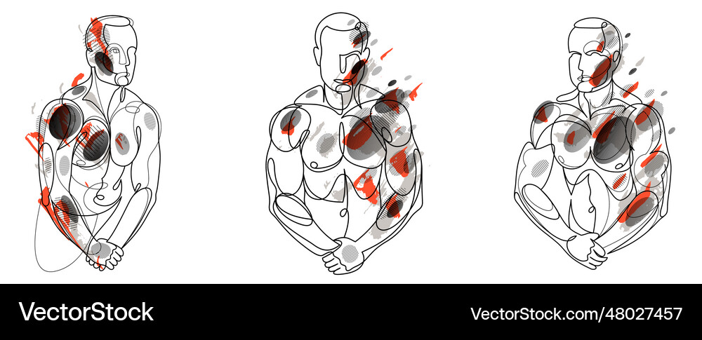 Athletic man torso linear set male beauty Vector Image