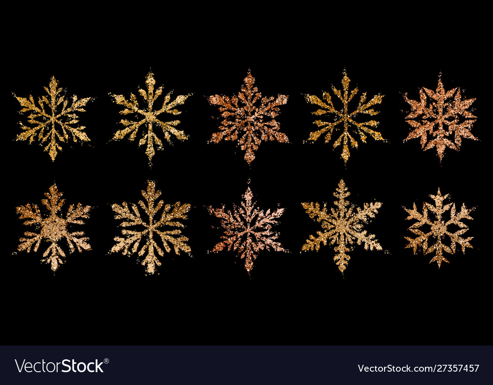 Set shiny snowflakes Royalty Free Vector Image