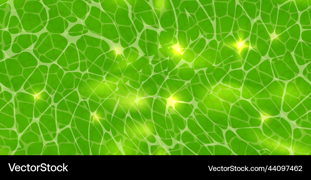 Abstract green background or plant cells texture Vector Image