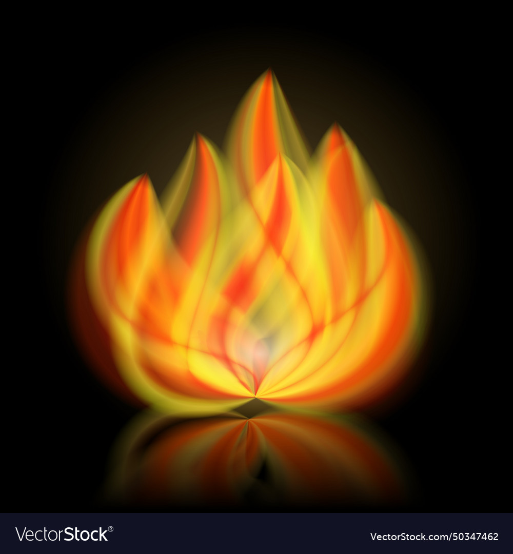 Fire flame Royalty Free Vector Image - VectorStock