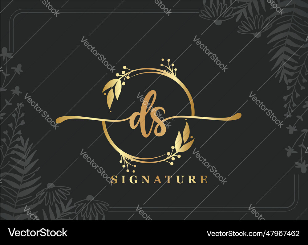 Luxury signature initial ds logo design isolated Vector Image