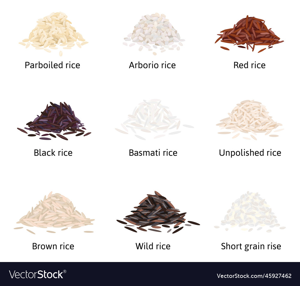 Rice types flat set Royalty Free Vector Image - VectorStock
