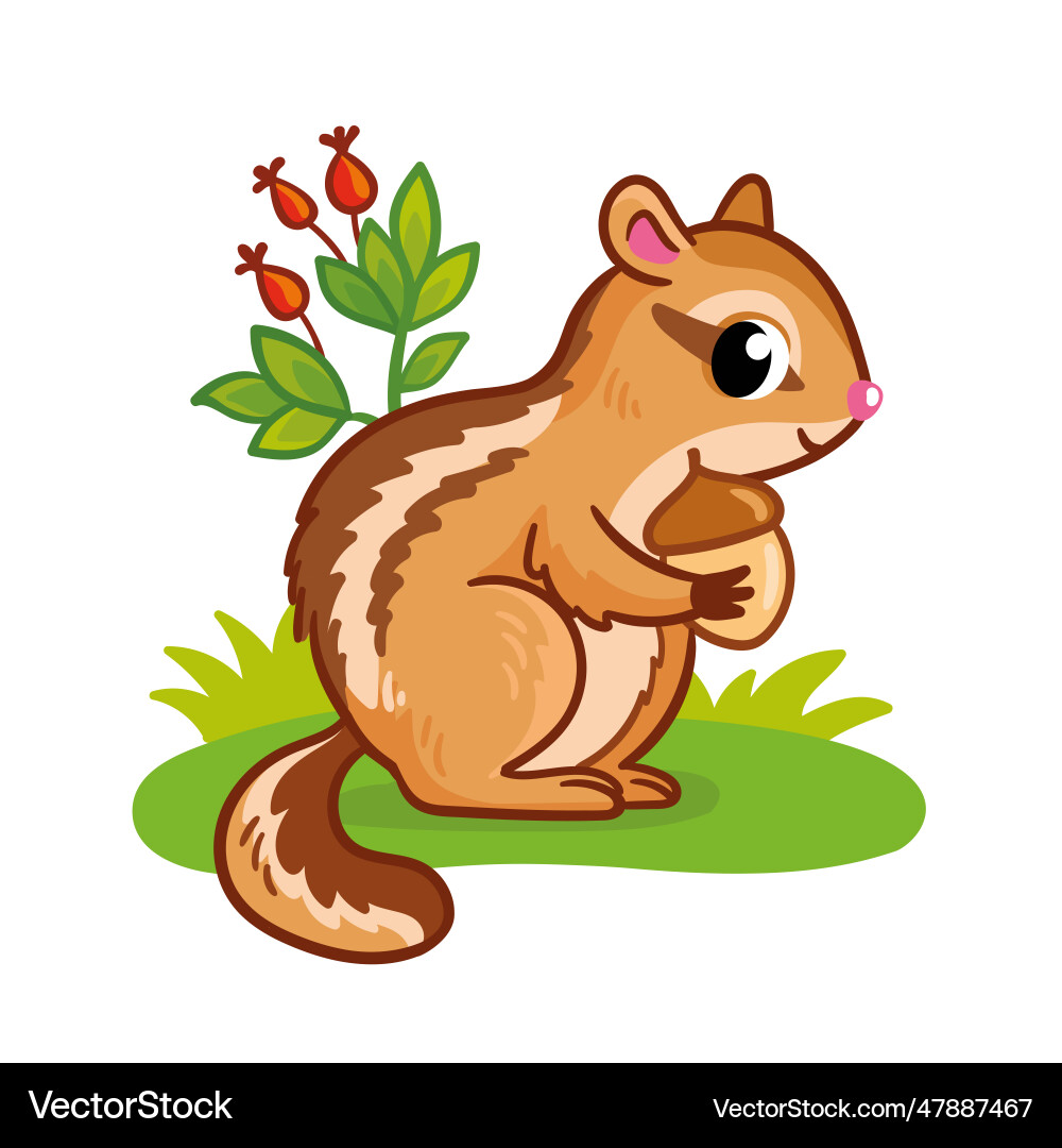Cute chipmunk stands on a green summer meadow Vector Image