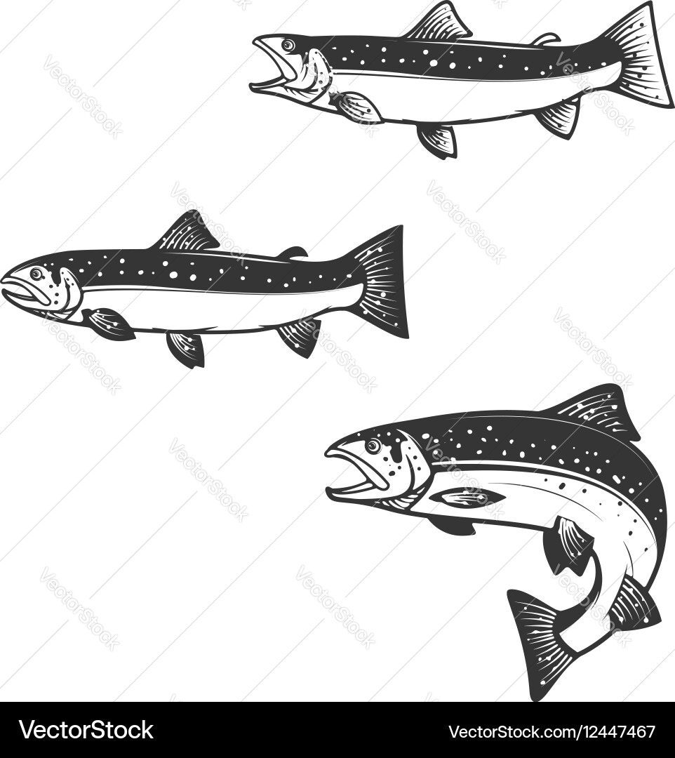 Set of trout silhouettes Royalty Free Vector Image