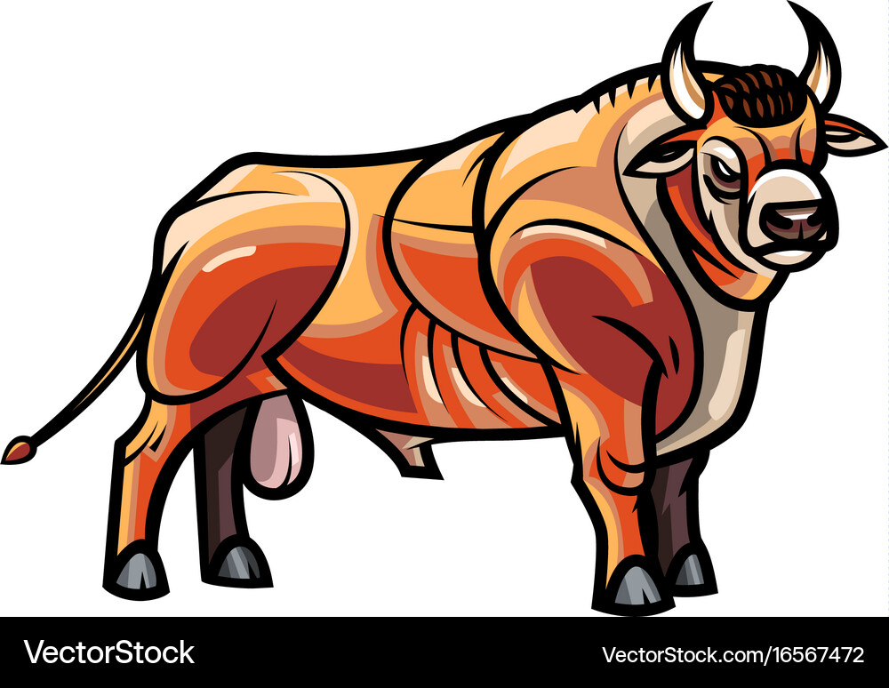 Drawing of standing bull Royalty Free Vector Image