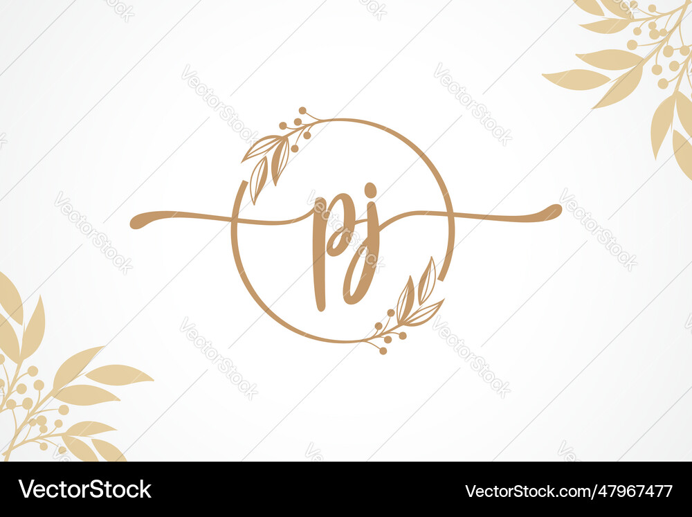 Luxury signature initial pj logo design isolated Vector Image