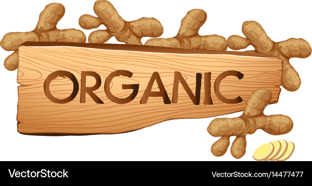Organic sign with fresh gingers Royalty Free Vector Image