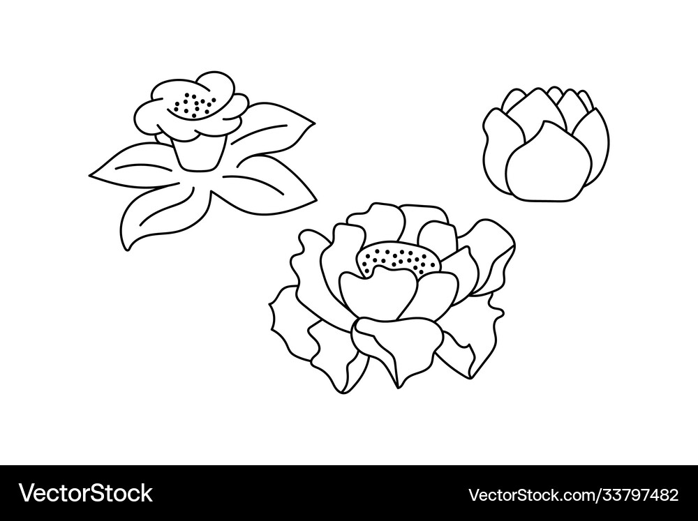 Doodle coloring flower isolated on white bundle Vector Image