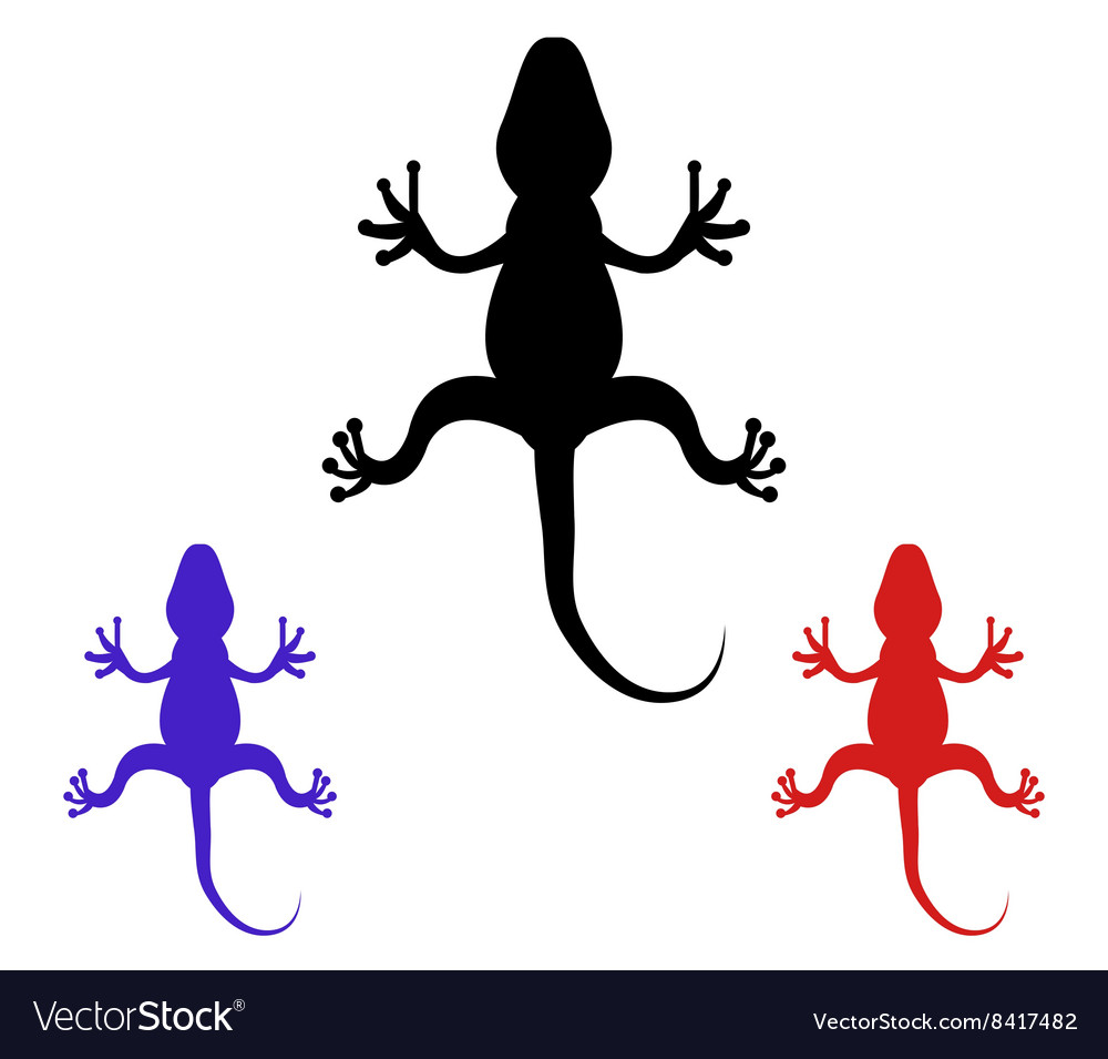 Lizards Royalty Free Vector Image - VectorStock
