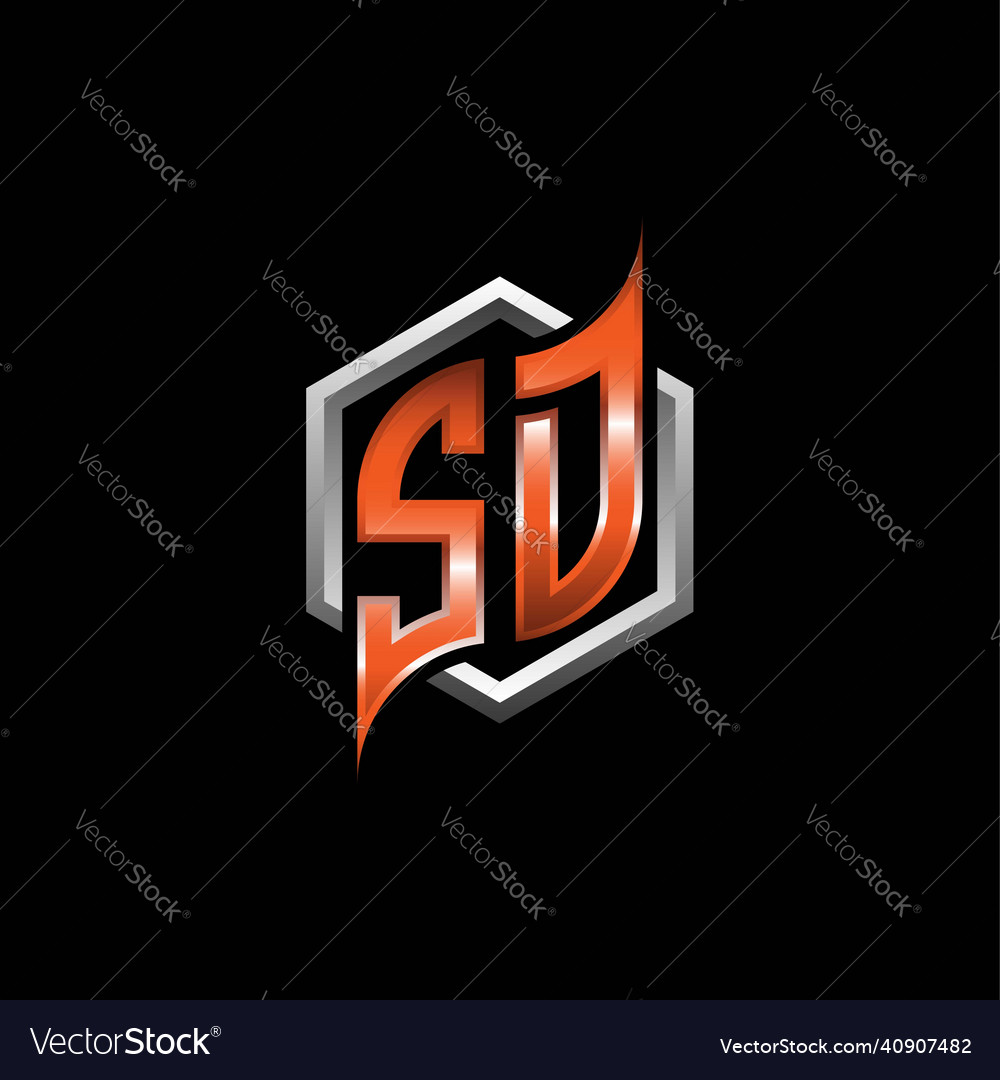 Sd monogram geometric orange with hexagonal Vector Image