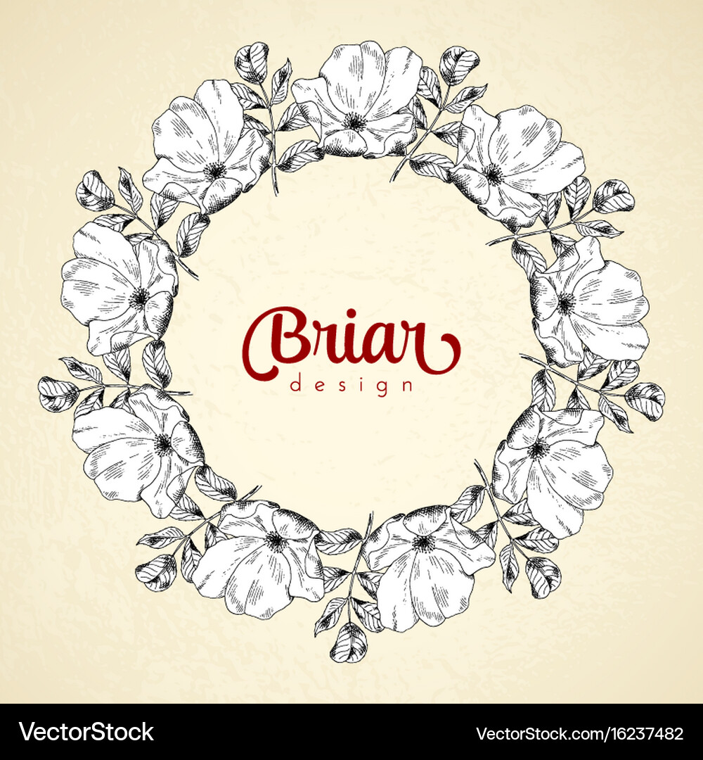 Vintage circle frame briar sketch template Vector Image