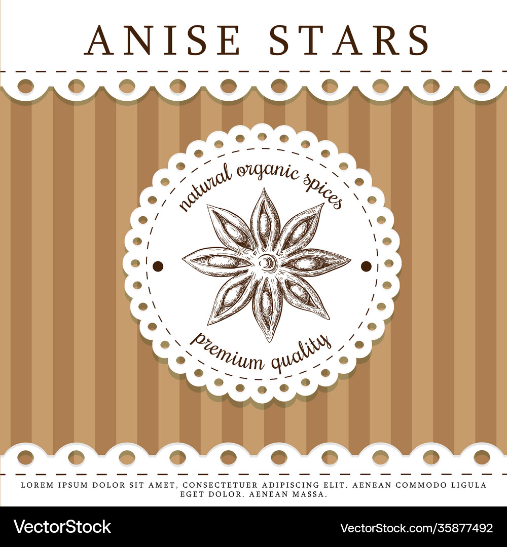 Anise stars packaging design hand drawn aniseed Vector Image
