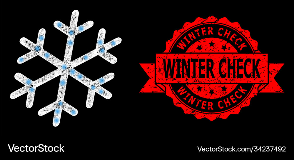 Scratched winter check seal and bright polygonal Vector Image