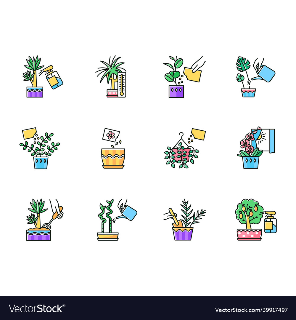 Houseplant caring rgb color icons set plant Vector Image