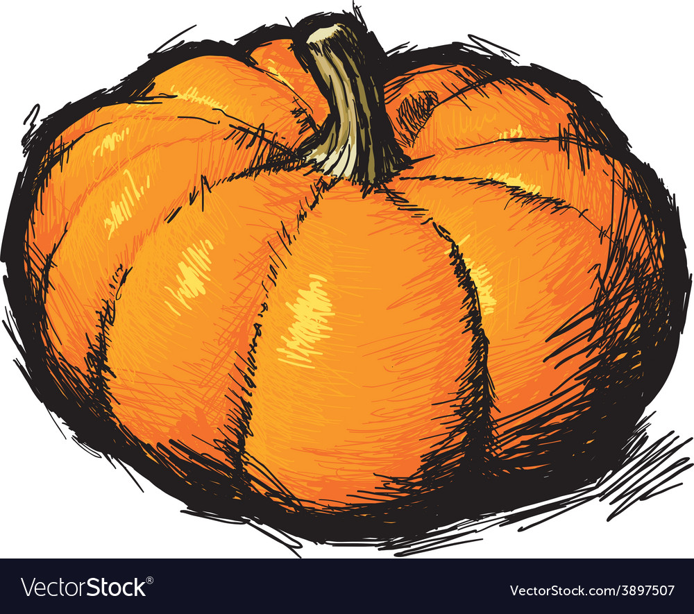 Pumpkin Royalty Free Vector Image - VectorStock